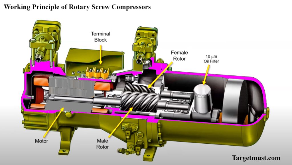 Decoding the Working Principle of Rotary Screw Compressors Efficient %current year%