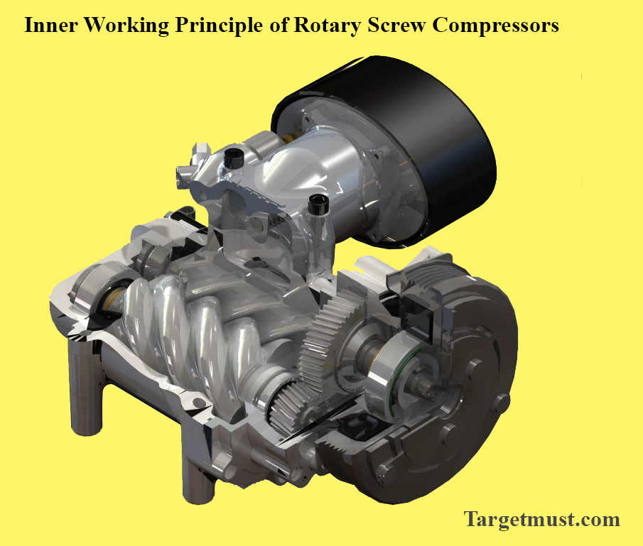 Decoding the Working Principle of Rotary Screw Compressors Efficient ...